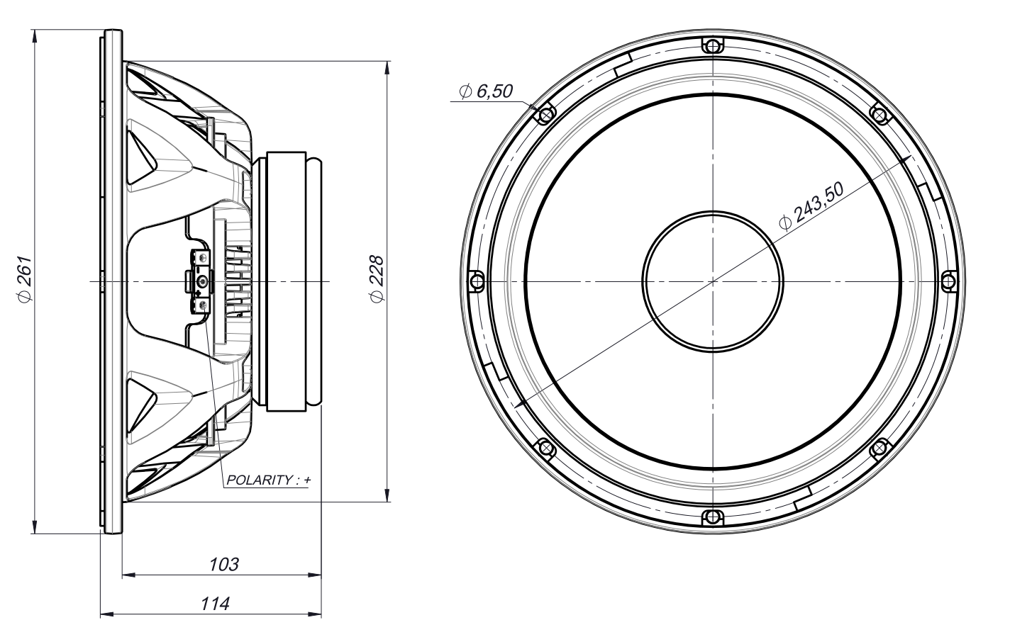 Beyma 10WR300 - 10" Woofer