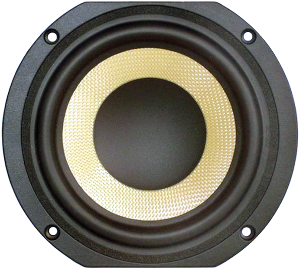 Tang Band W5-610SF - 5″ Woofer